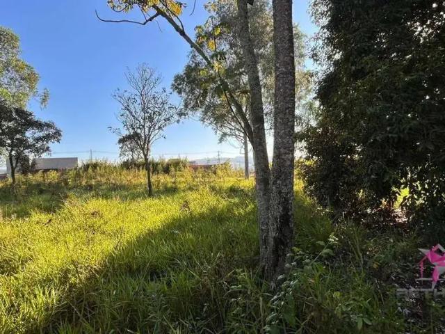 Terreno / Lote para Venda em Santa Cruz da Conceição/SP Jardim da Enseada