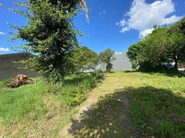 Terreno / Lote para Venda em Santa Cruz do Sul/RS Avenida