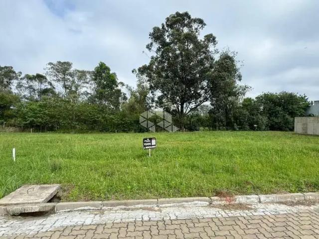 Terreno / Lote para Venda em Santa Cruz do Sul/RS Aliança