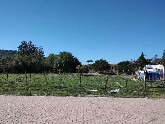 Terreno / Lote para Venda em Santa Cruz do Sul/RS Aliança