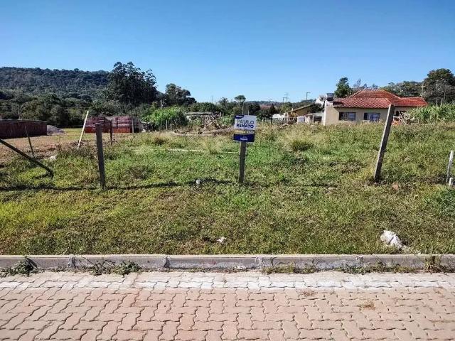 Terreno / Lote para Venda em Santa Cruz do Sul/RS Aliança