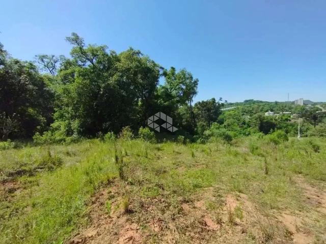 Terreno / Lote para Venda em Santa Cruz do Sul/RS Aliança
