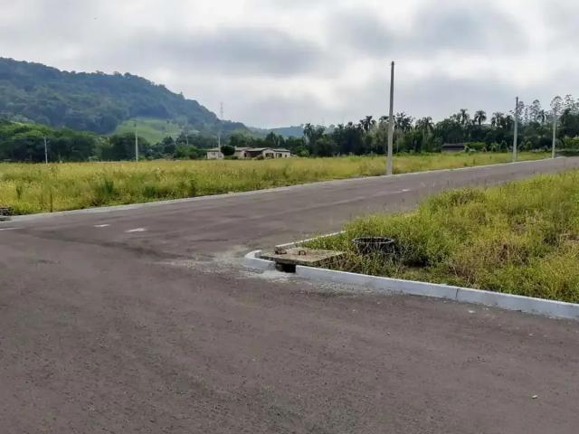Terreno / Lote para Venda em Santa Cruz do Sul/RS Aliança