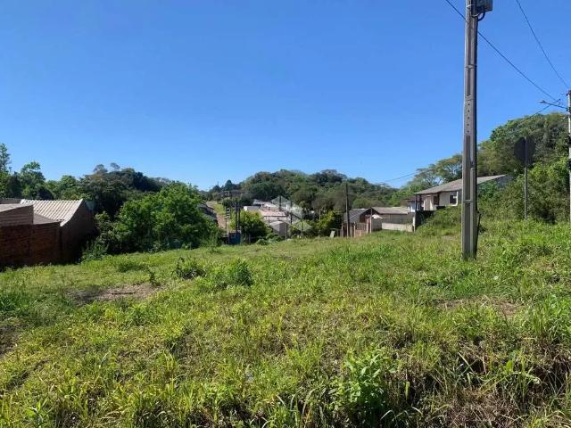 Terreno / Lote para Venda em Santa Cruz do Sul/RS Aliança