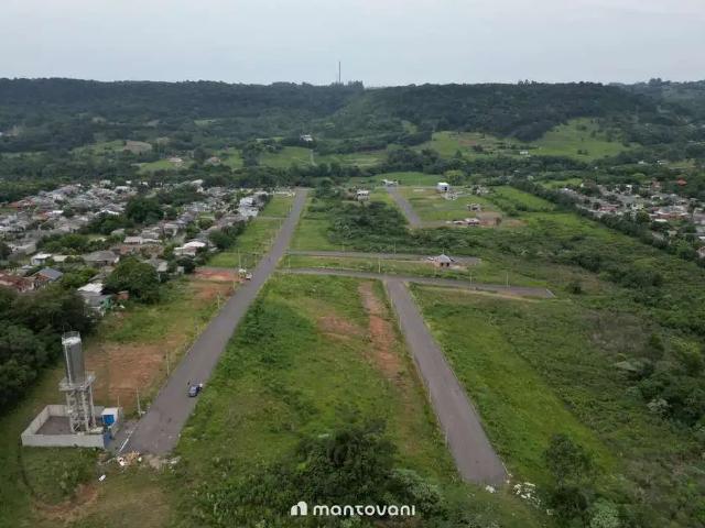 Terreno / Lote para Venda em Santa Cruz do Sul/RS Aliança