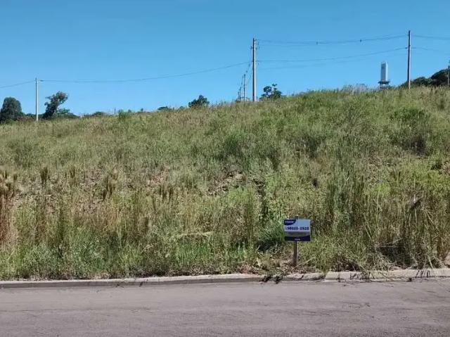 Terreno / Lote para Venda em Santa Cruz do Sul/RS Aliança