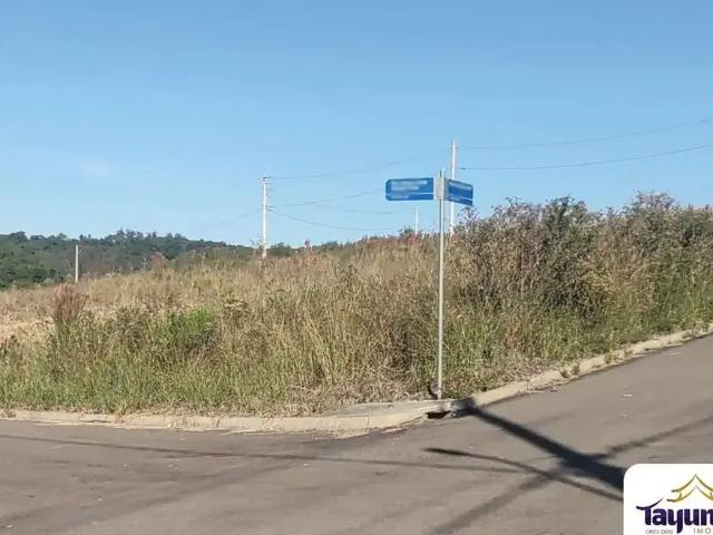 Terreno / Lote para Venda em Santa Cruz do Sul/RS Aliança