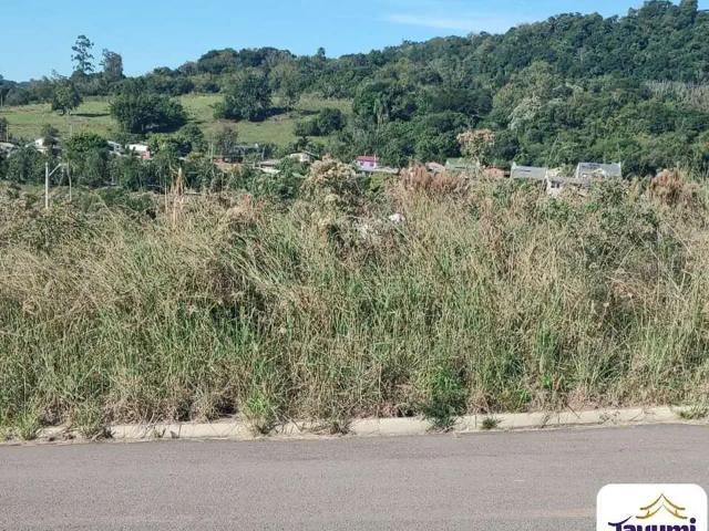 Terreno / Lote para Venda em Santa Cruz do Sul/RS Aliança