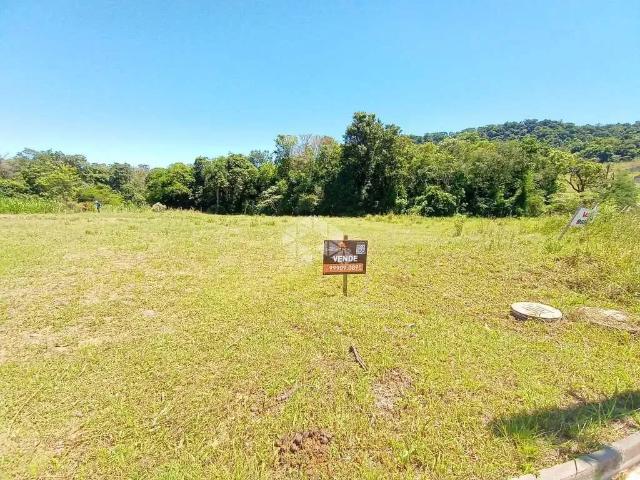 Terreno / Lote para Venda em Santa Cruz do Sul/RS Aliança