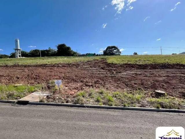 Terreno / Lote para Venda em Santa Cruz do Sul/RS Aliança