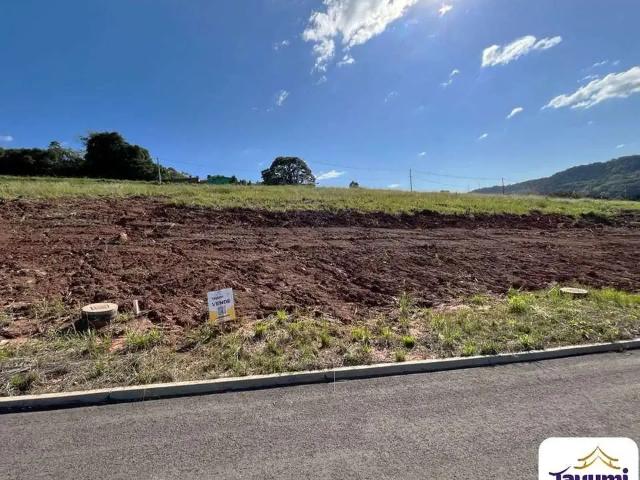 Terreno / Lote para Venda em Santa Cruz do Sul/RS Aliança