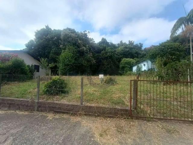 Terreno / Lote para Venda em Santa Cruz do Sul/RS Ana Nery
