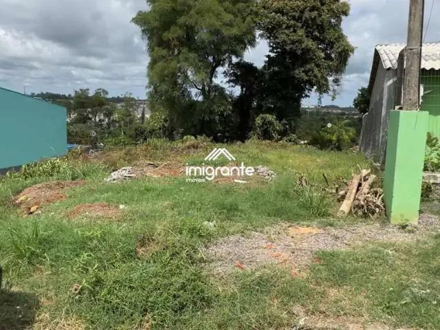 Terreno / Lote para Venda em Santa Cruz do Sul/RS Ana Nery