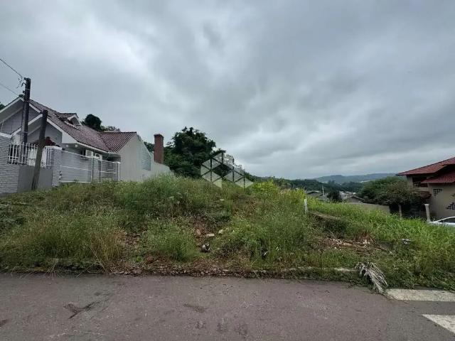 Terreno / Lote para Venda em Santa Cruz do Sul/RS Arroio Grande
