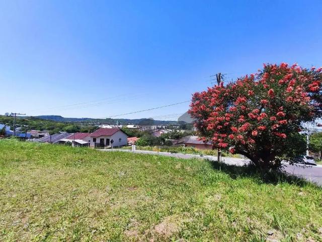 Terreno / Lote para Venda em Santa Cruz do Sul/RS Arroio Grande