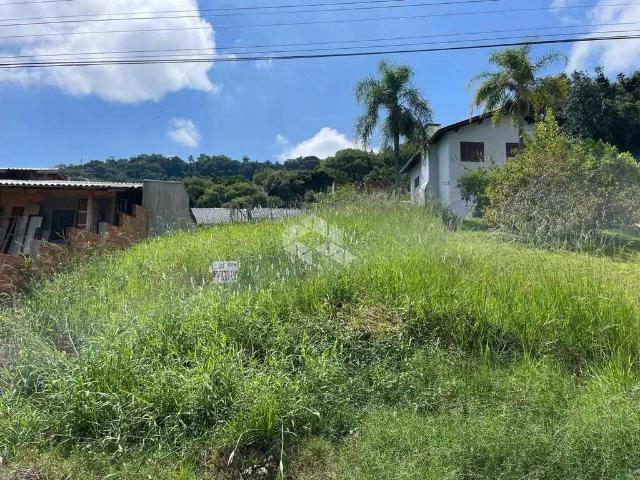 Terreno / Lote para Venda em Santa Cruz do Sul/RS Arroio Grande