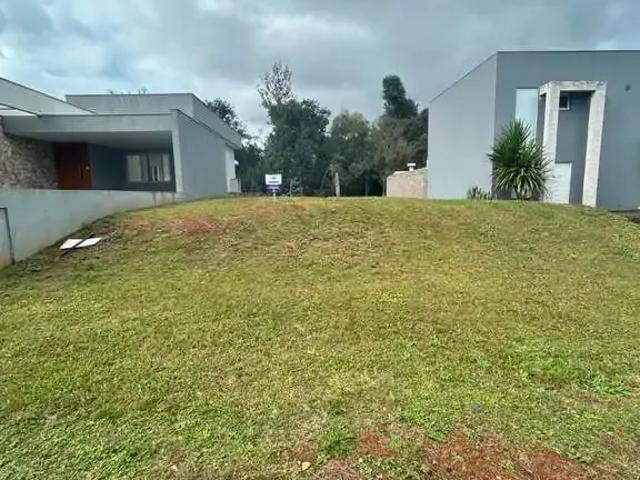 Terreno / Lote para Venda em Santa Cruz do Sul/RS Belvedere