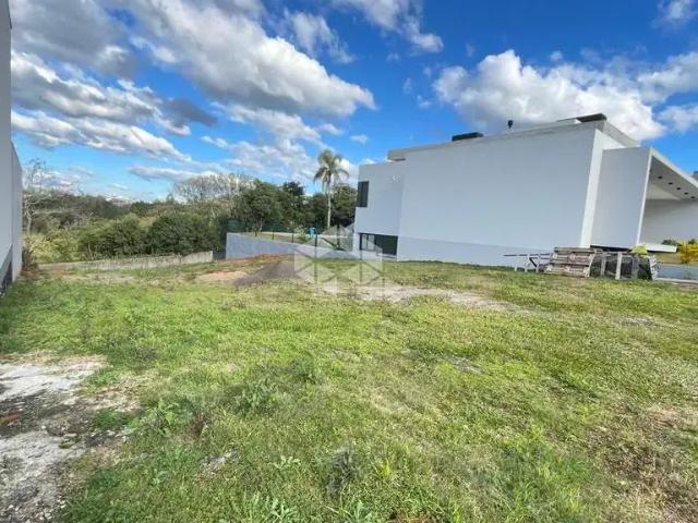 Terreno / Lote para Venda em Santa Cruz do Sul/RS Belvedere
