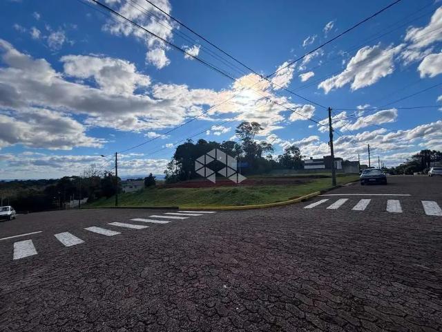 Terreno / Lote para Venda em Santa Cruz do Sul/RS Belvedere