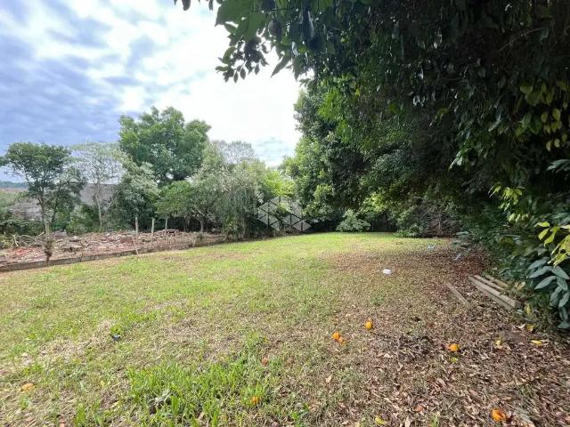 Terreno / Lote para Venda em Santa Cruz do Sul/RS Centro