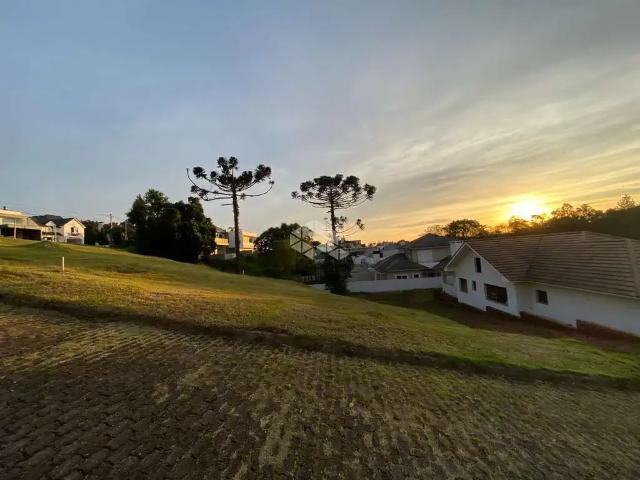 Terreno / Lote para Venda em Santa Cruz do Sul/RS Country
