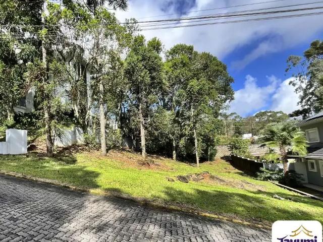 Terreno / Lote para Venda em Santa Cruz do Sul/RS Country