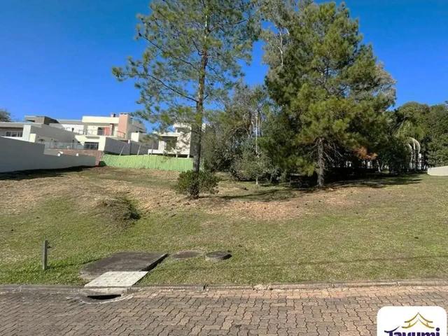 Terreno / Lote para Venda em Santa Cruz do Sul/RS Country