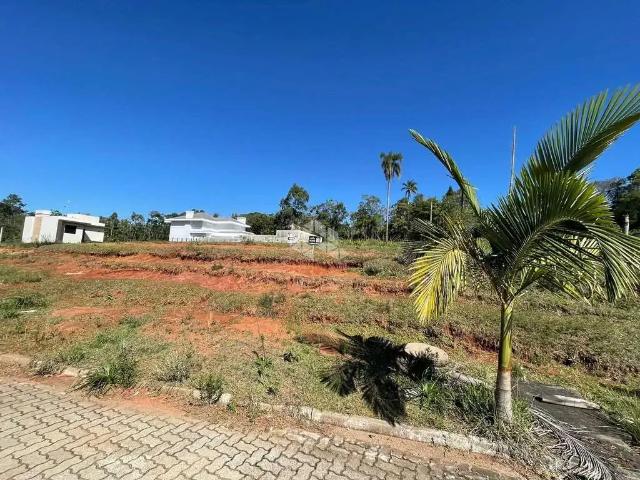 Terreno / Lote para Venda em Santa Cruz do Sul/RS Country