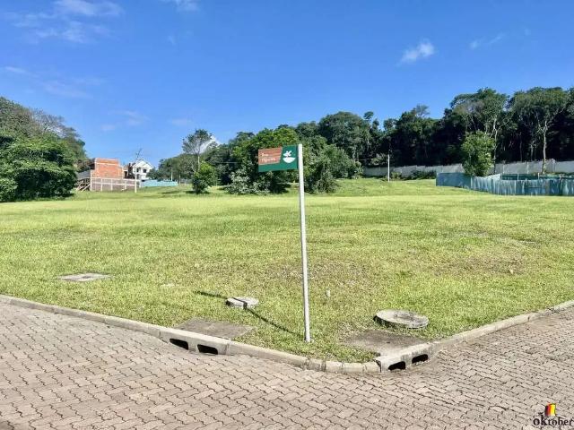 Terreno / Lote para Venda em Santa Cruz do Sul/RS Country