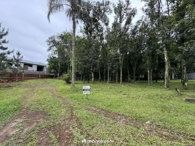 Terreno / Lote para Venda em Santa Cruz do Sul/RS Country