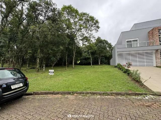 Terreno / Lote para Venda em Santa Cruz do Sul/RS Country