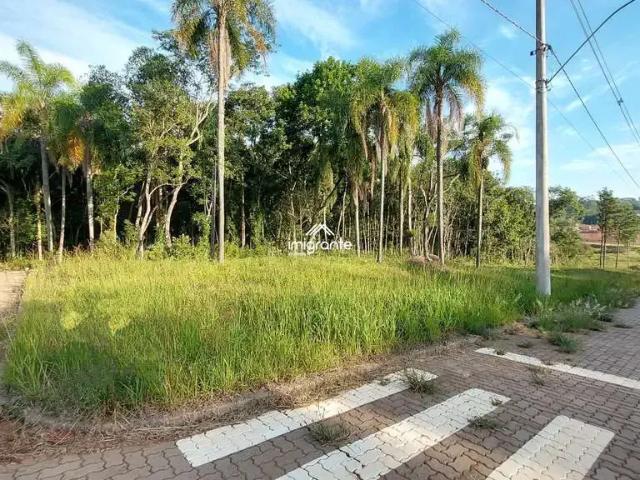 Terreno / Lote para Venda em Santa Cruz do Sul/RS Country