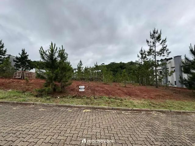 Terreno / Lote para Venda em Santa Cruz do Sul/RS Country