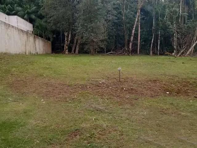 Terreno / Lote para Venda em Santa Cruz do Sul/RS Country