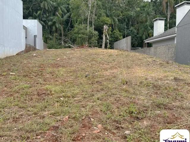 Terreno / Lote para Venda em Santa Cruz do Sul/RS Country