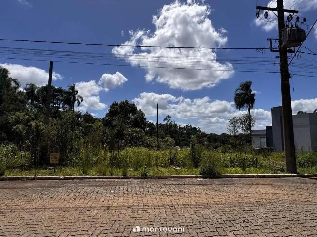 Terreno / Lote para Venda em Santa Cruz do Sul/RS Country