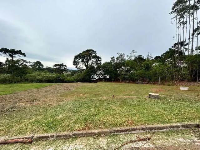 Terreno / Lote para Venda em Santa Cruz do Sul/RS Country