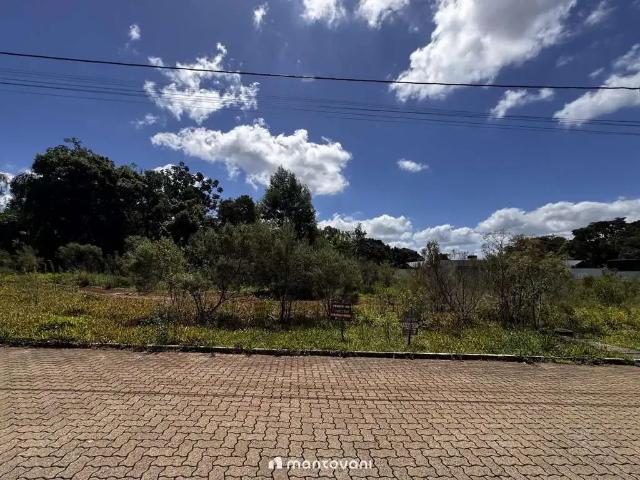 Terreno / Lote para Venda em Santa Cruz do Sul/RS Country
