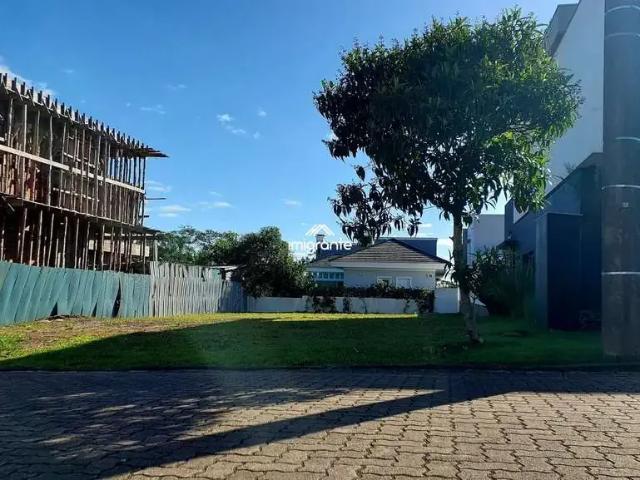 Terreno / Lote para Venda em Santa Cruz do Sul/RS Country