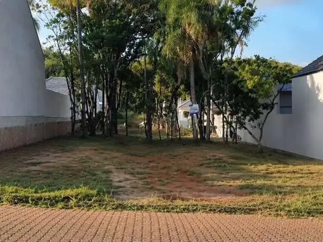 Terreno / Lote para Venda em Santa Cruz do Sul/RS Country