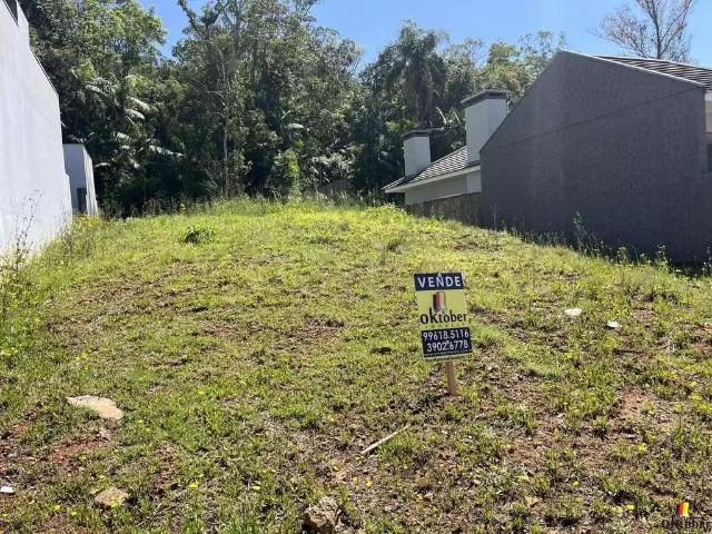 Terreno / Lote para Venda em Santa Cruz do Sul/RS Country