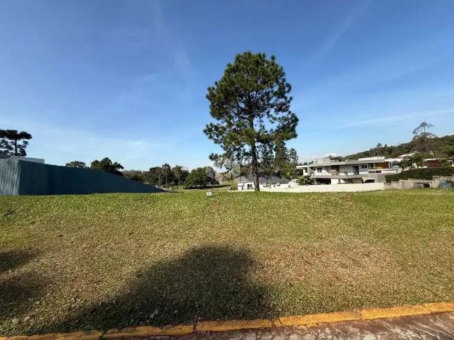 Terreno / Lote para Venda em Santa Cruz do Sul/RS Country