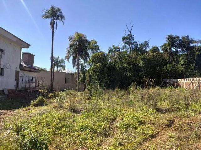 Terreno / Lote para Venda em Santa Cruz do Sul/RS Country