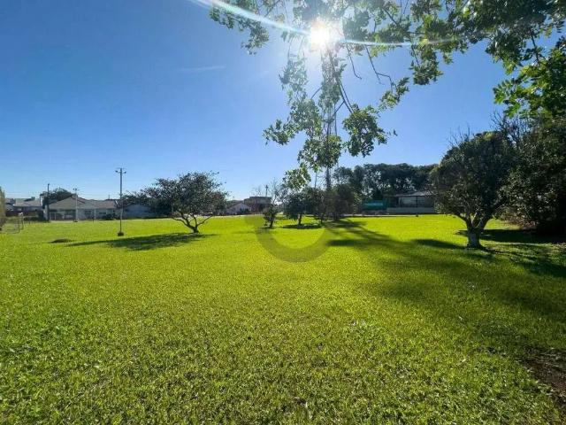 Terreno / Lote para Venda em Santa Cruz do Sul/RS Country