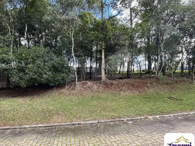 Terreno / Lote para Venda em Santa Cruz do Sul/RS Country
