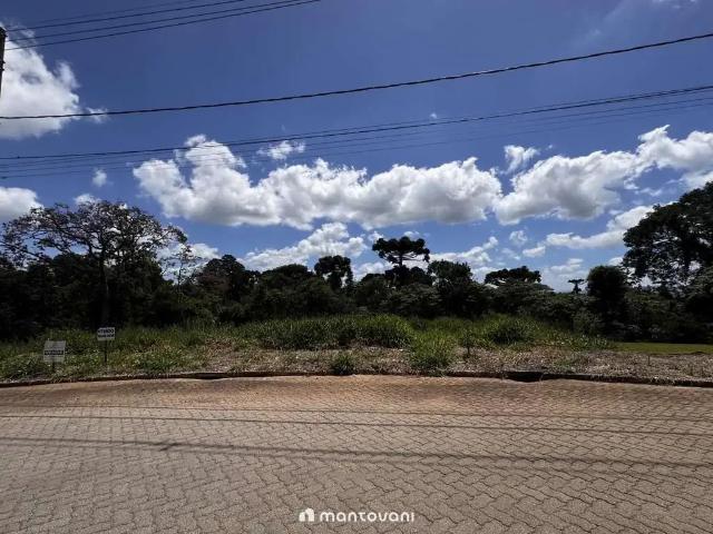 Terreno / Lote para Venda em Santa Cruz do Sul/RS Country