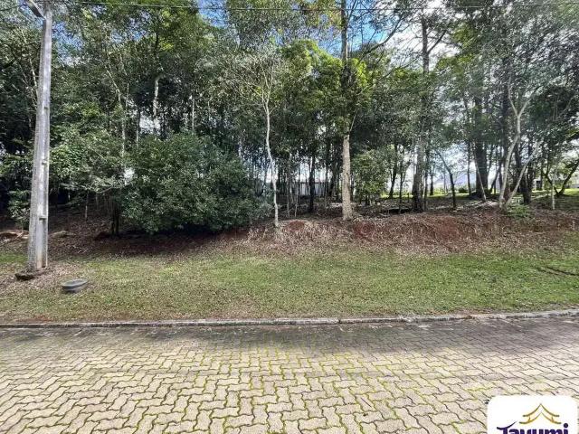 Terreno / Lote para Venda em Santa Cruz do Sul/RS Country
