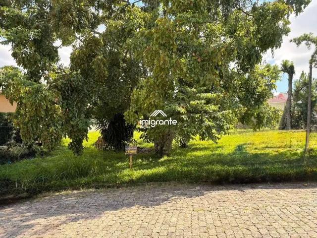 Terreno / Lote para Venda em Santa Cruz do Sul/RS Higienópolis