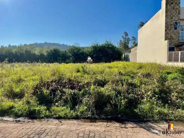 Terreno / Lote para Venda em Santa Cruz do Sul/RS Independência