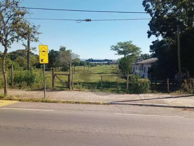 Terreno / Lote para Venda em Santa Cruz do Sul/RS Independência